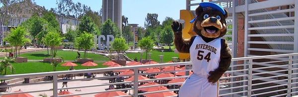 Scotty Mascot at the HUB | CNAS Undergraduate Academic Advising Center